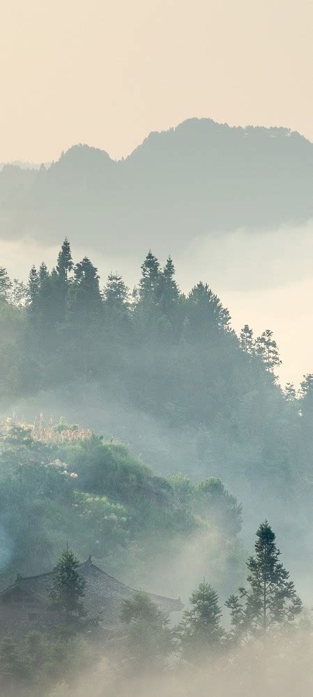 自然山村风景 早晨 雾 手机壁纸