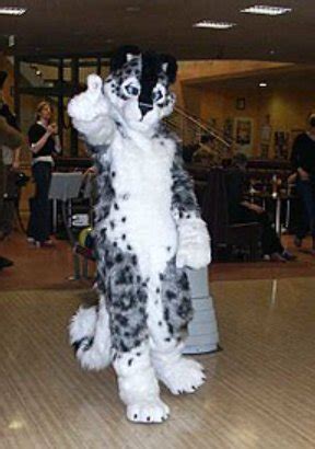 Que es el Furry Fandom Wiki Furry Español Amino