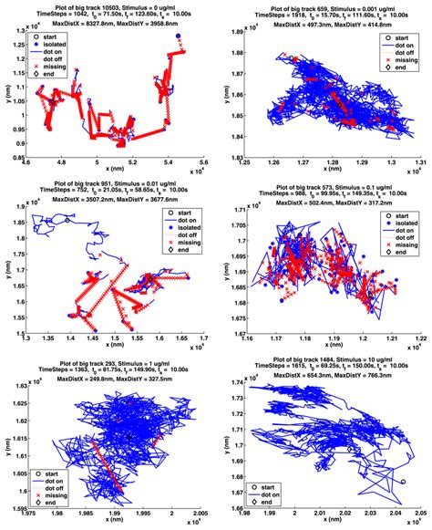 data set a tracks with the longest paths download scientific diagram