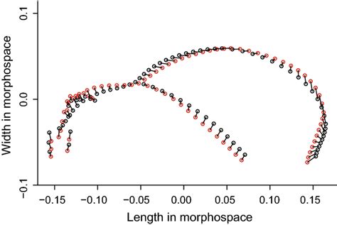 Canonical Variates Analysis Visualization Of Average Shapes Of
