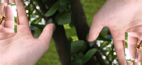 How To Flip An Image In Photoshop Void Graphics