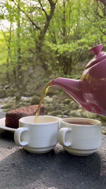 جنگلی چایی طبیعت رامسر شکلاتی Youtube