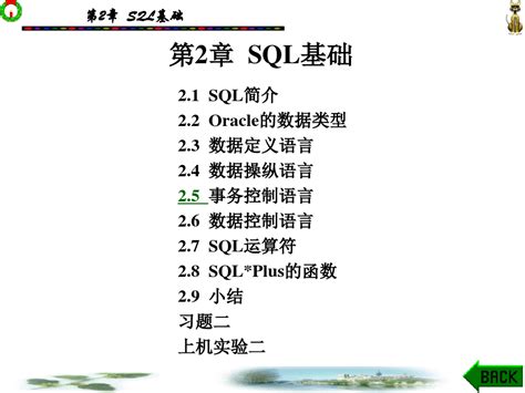 Oracle 数据库应用教程课件 第2章 Sql基础 Word文档在线阅读与下载 无忧文档