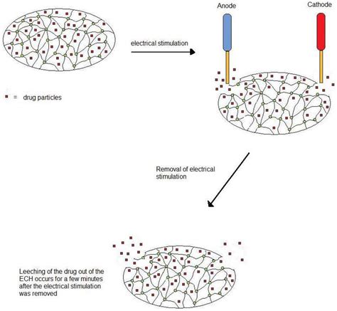 Polymers Special Issue Conductive Polymers