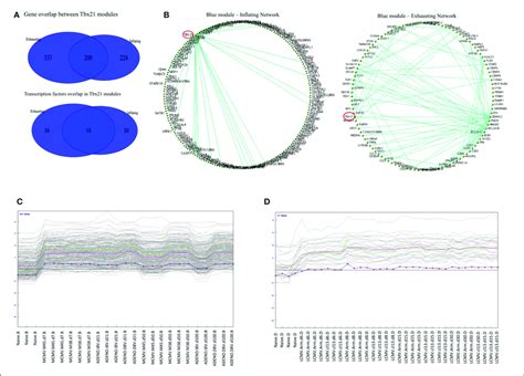 A Overlap Between Inflation And Exhausted Gene Modules Venn Download Scientific Diagram