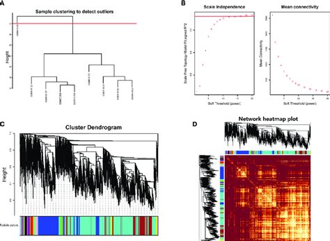 a hierarchical clustering analysis to detect outliers in gse35958 download scientific