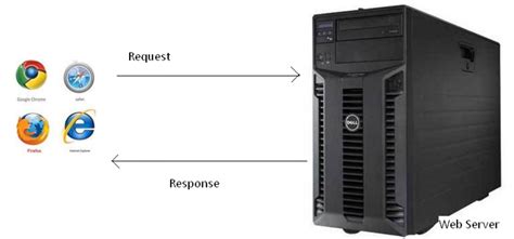 基础入门 数据包拓展 zhengna 博客园