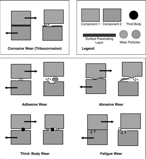 Local Cellular Responses To Titanium Dioxide From Orthopedic Implants Pmc