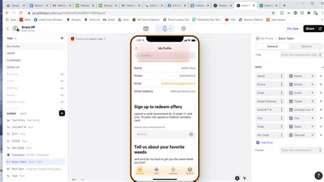 Basic Data Table Broken Ask For Help Glide Community