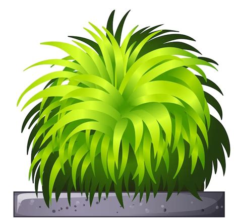 Animated Grass Images Free Download On Freepik