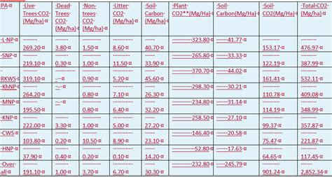 How To Remove All Leading Space While Copying Table From Excel To Word