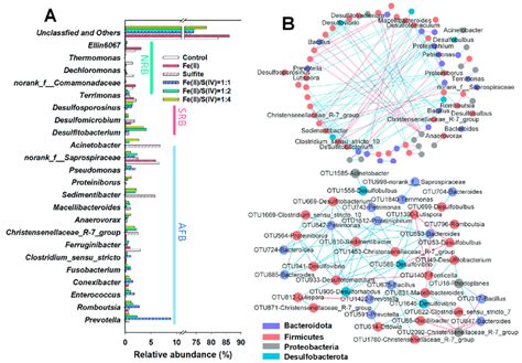Relative Abundance Of Functional Bacteria At Genus Level A Molecular