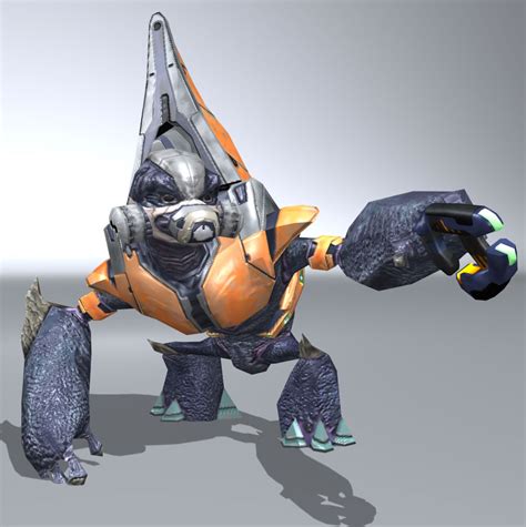 image char grunt halo nation fandom powered by wikia