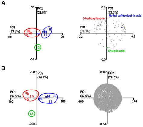 Principal Component Analysis Pca Of Lc Esi− Ms Chromatographic