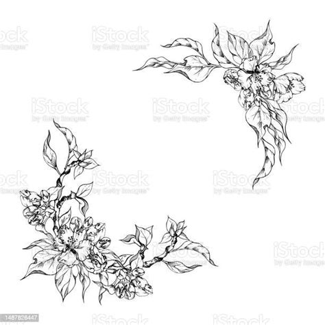 손으로 그린 잉크 사과 꽃 녹색 잎이 있는 흰색과 분홍색 꽃 정사각형 프레임 구성 흰색 배경에 격리된 개체입니다 벽 예술 결혼식 인쇄 직물 표지 카드를 위한 디자인 개체