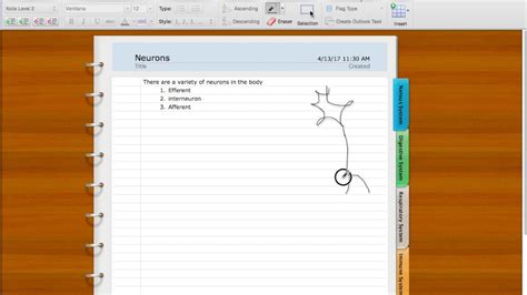 How To Insert Notes In Microsoft Word Printable Templates