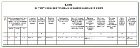 Книга учета движения трудовых книжек в 2024 году