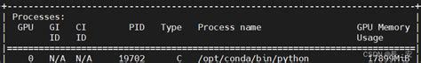 通过pid查看对应的docker linux如何查看使用gpu的pid进程属于哪个容器 csdn博客