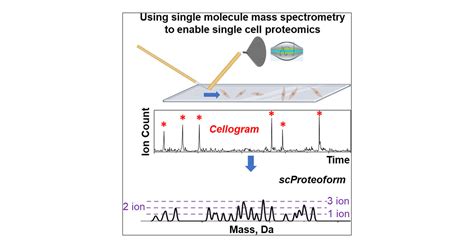 Single Cell Analysis Of Proteoforms Journal Of Proteome Research