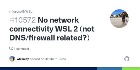 No Network Connectivity Wsl 2 Not Dnsfirewall Related · Issue