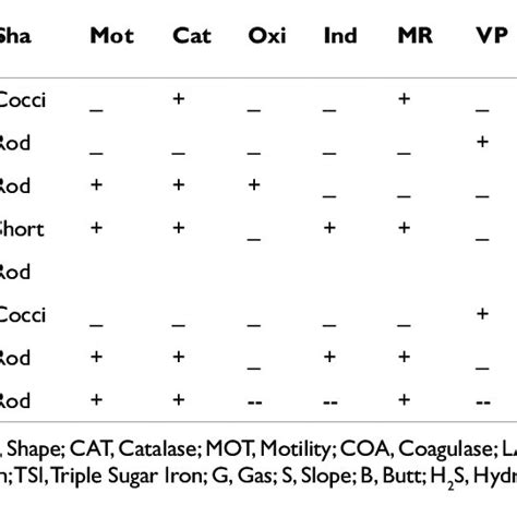 Morphological And Biochemical Characterization Of Isolate Download