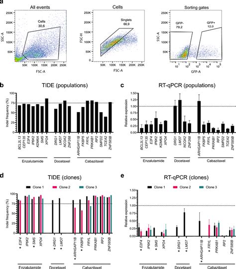 Generation Of Knockout Populations And Clones In C4cas9 A Gating