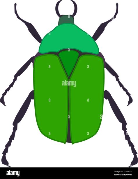 Green Beetle Bug Illustration Vector On A White Background Stock Vector Image And Art Alamy