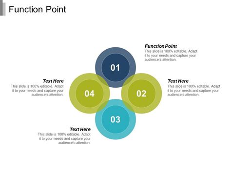 Function Point Ppt Powerpoint Presentation Infographic Template Visuals
