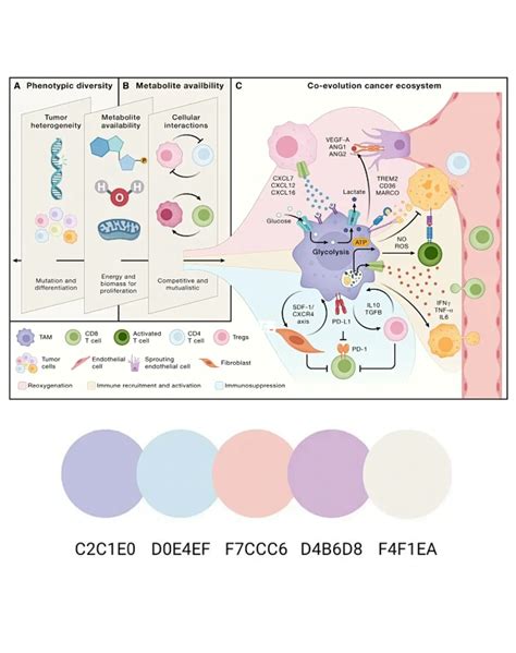 偷偷惊艳导师的科研配色网站，太绝了‼️