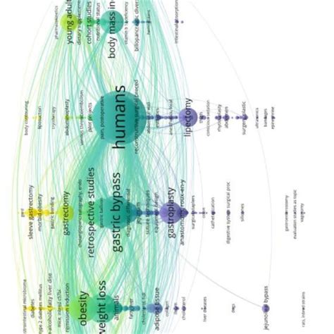 Timeline Graph Of Co Keywords Network Clustering Download Scientific Diagram