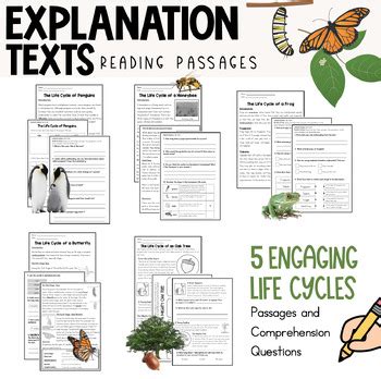 Life Cycles Explanation Texts Reading Comprehension Pages TPT