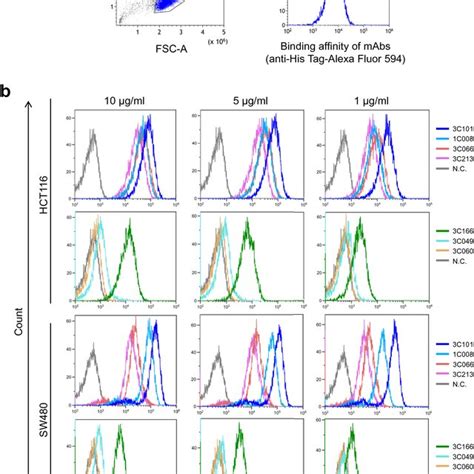 Flow Cytometry Of Monoclonal Antibodies Flow Cytometry Of Mabs Against