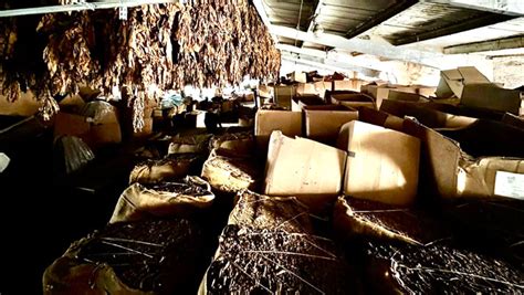 В Молдове раскрыли фабрику по незаконному производству сигарет Locals