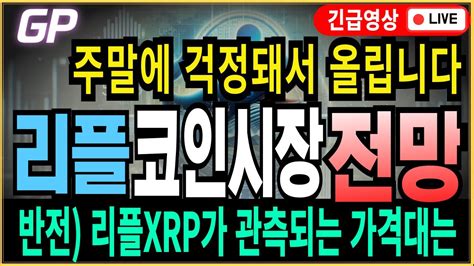 진짜 리플 전망 💥리플 코인시장 전망 🚨 반전리플 Xrp가 관측되는 가격대는🚨주말에 걱정돼서 올립니다 제발 선동당하지