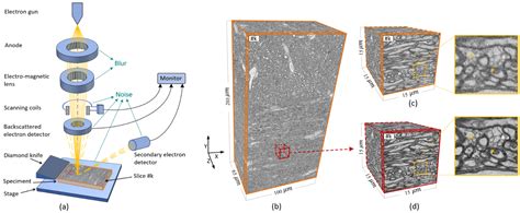 논문 리뷰 No Clean Reference Image Super Resolution Application To Electron Microscopy