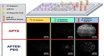 Single Cell Quantification Of MicroRNA From Small Numbers Of Non Invasively Sampled Primary