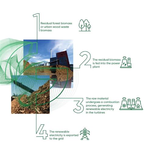 Energia Da Biomassa Porque é Que Transformar é Importante Greenvolt
