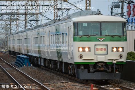 【jr東】特急「きらきら足利イルミ」を臨時運行 202401 185系 2nd Train鉄道ニュース