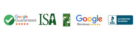 A Comprehensive Guide To Pruning Trees Methods Techniques And Best