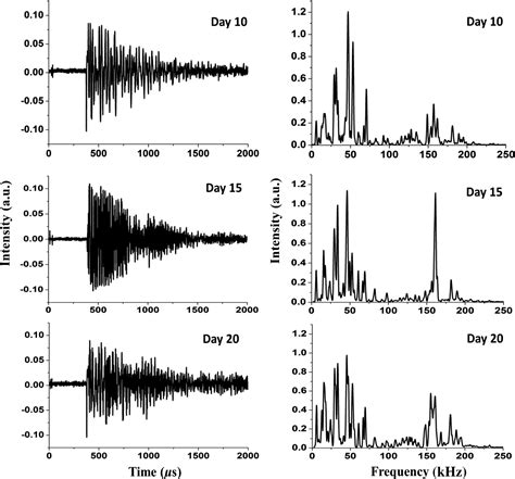 Monitoring Breast Tumor Progression By Photoacoustic Measurements A