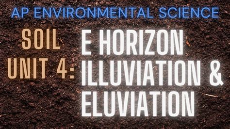 Apes Soil Unit 4 E Horizon Eluviation And Illuviation Youtube