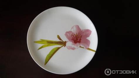 Отзыв о Столовая посуда Luminarc Качественная противоударная посуда