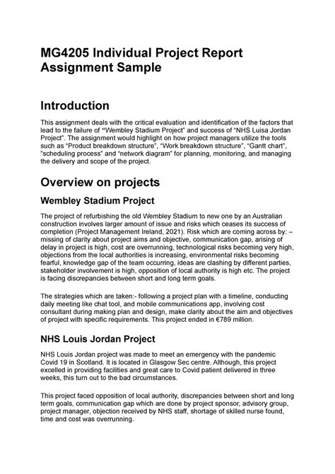 Mg4205 Individual Project Report Assignment Sample Mg4205 Individual