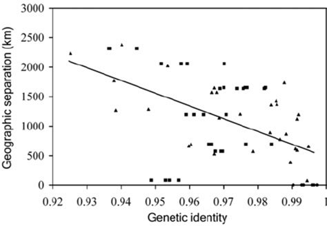 Scatter Plot Of Genetic Identity And Geographic Separation Km For 12