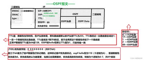 Ospf —— Ospf协议分析(ospf报文详解)ospf报文目的地址 Csdn博客 Ospf —— Ospf协议分析(ospf报文详解)ospf报文目的地址 Csdn博客