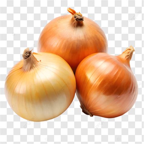 붉은 양파 음식 빨간색 양파 음식 Png 일러스트 및 이미지 에 대한 무료 다운로드 Pngtree