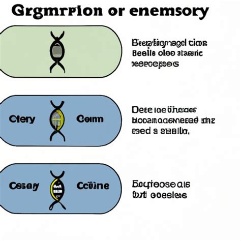 Exploring Heredity In Science Unpacking The Complexities Of Genetic