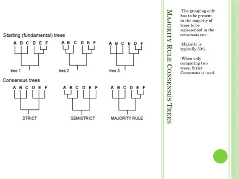 ppt consensus trees powerpoint presentation free download id 4563374