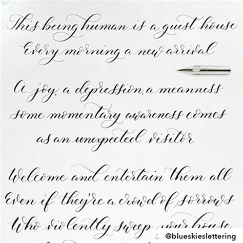 Zebra G Nib John Neal Books