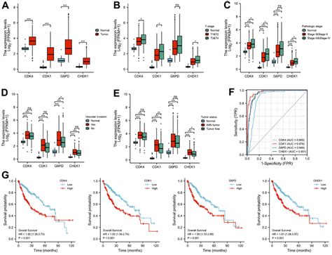 Correlation Analysis Of The Expression Of Four Key Cellular Download Scientific Diagram